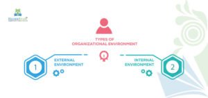 Types of Organizational Environment