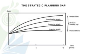 Strategic Management Model with Examples